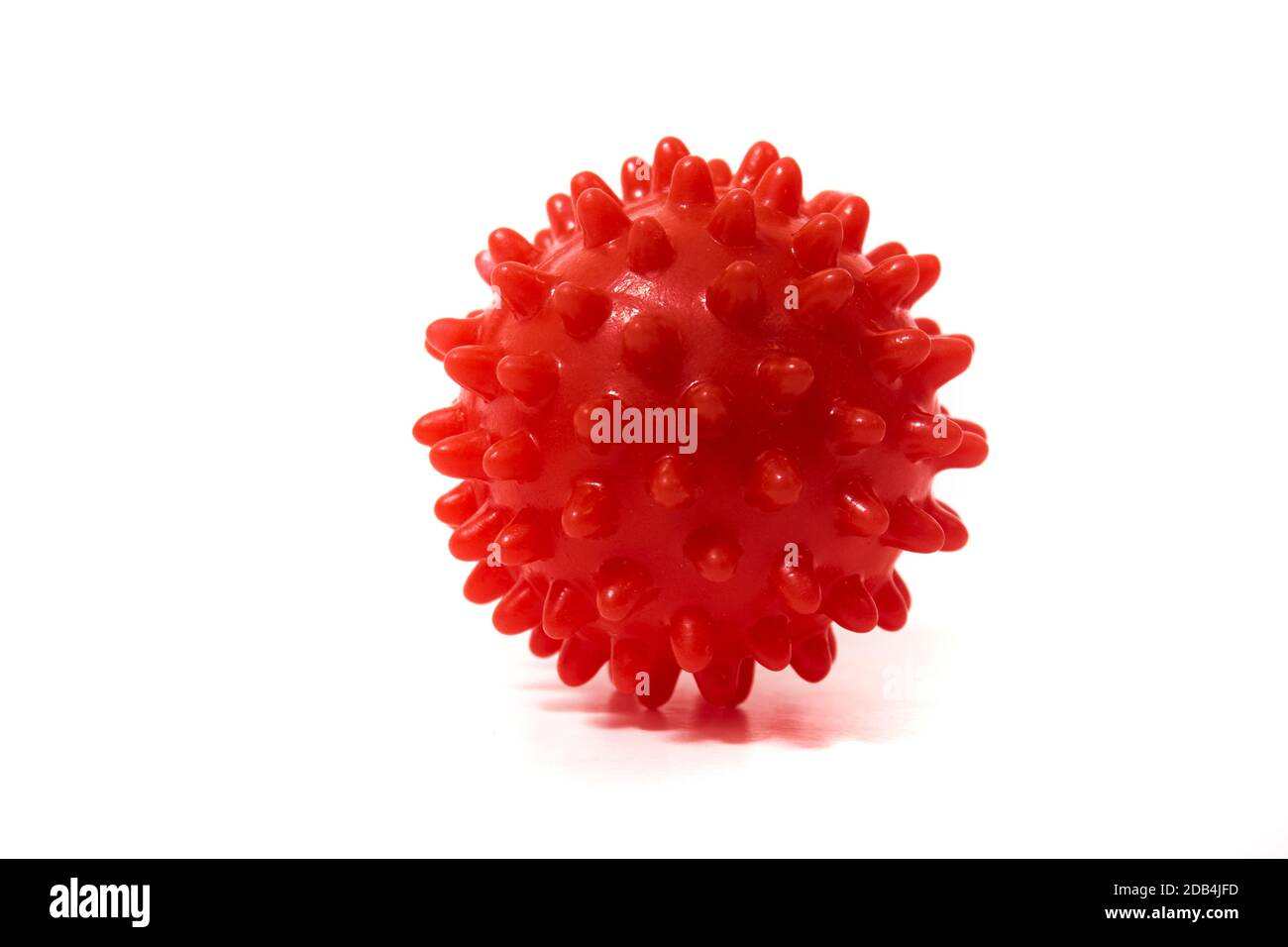 Red ball dog's toy for gnawing isolated on a white background Stock ...
