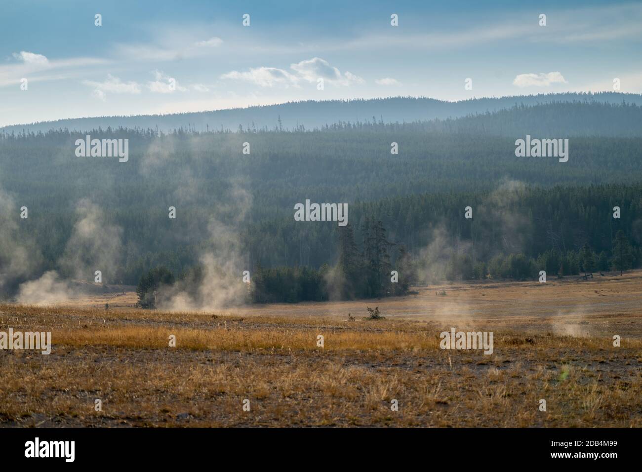 Steam rises from hot springs in Yellowstone National Park in the early ...
