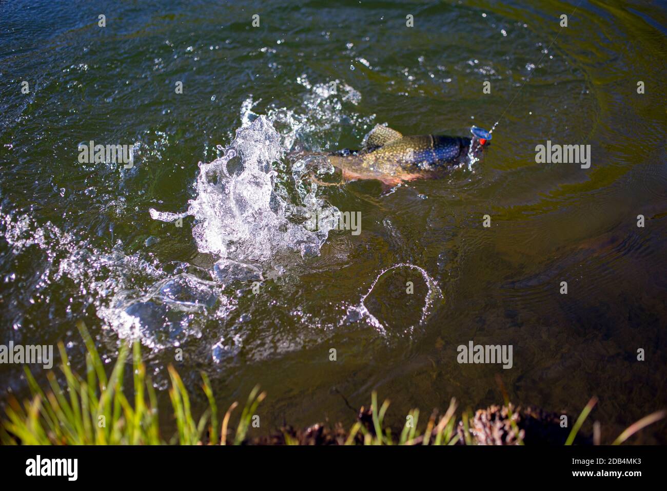 Pesca a spinning hi-res stock photography and images - Alamy