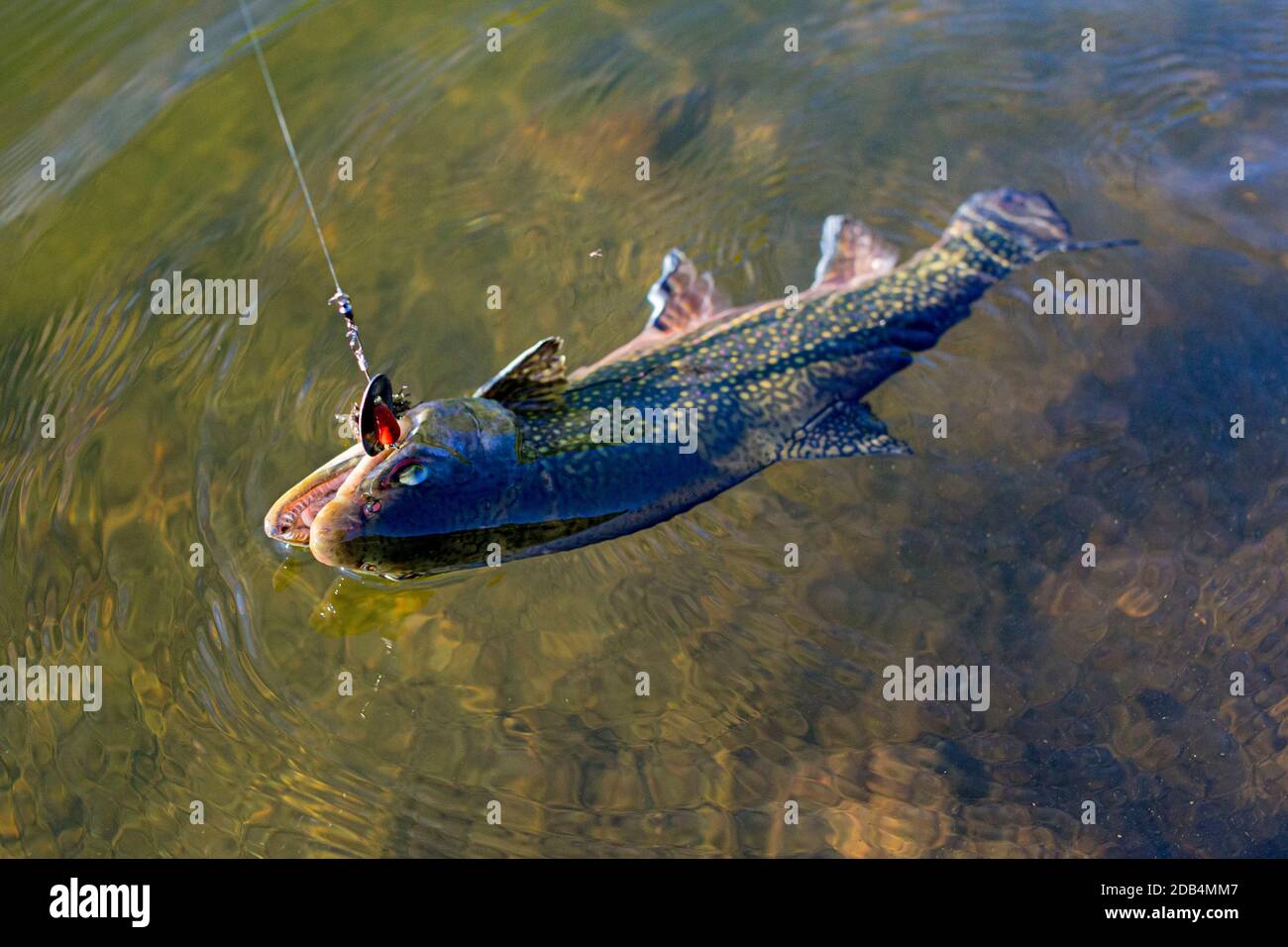 Spinning Spoon Fishing Stock Photo - Alamy