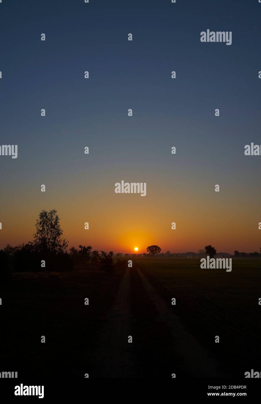 country road in the rays of the rising sun Stock Photo - Alamy