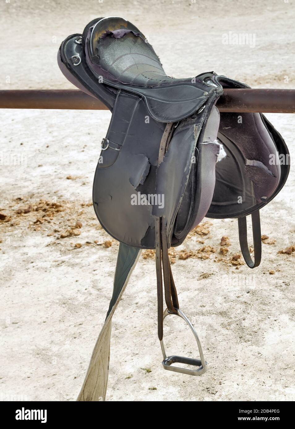 Old Rider horse saddle vintage retro style Stock Photo - Alamy
