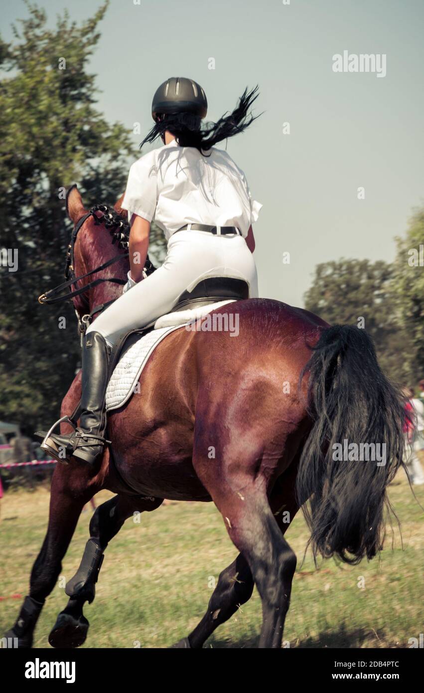 Rider on horse vintage retro style Stock Photo - Alamy