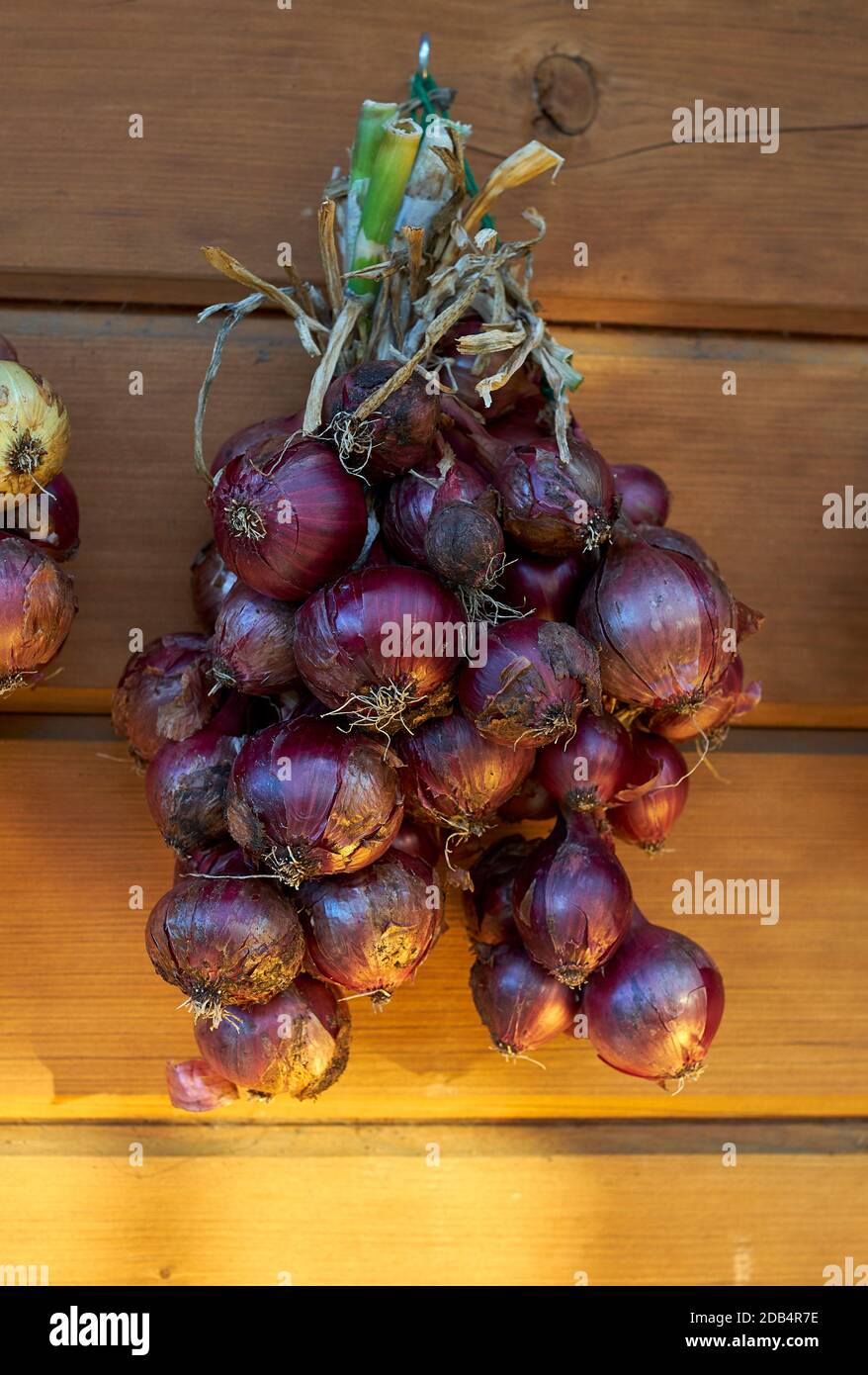 bunch of red onion hanging on the wooden wall Stock Photo - Alamy