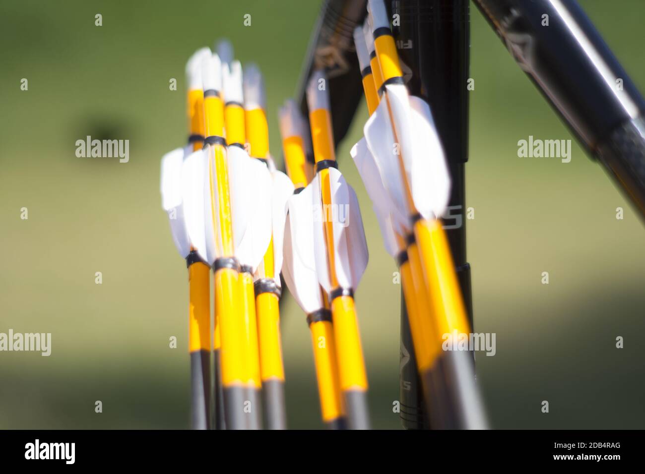 Archery Arrows with Bow Detail.Pfeile zum Bogenschiessen mit einem ...