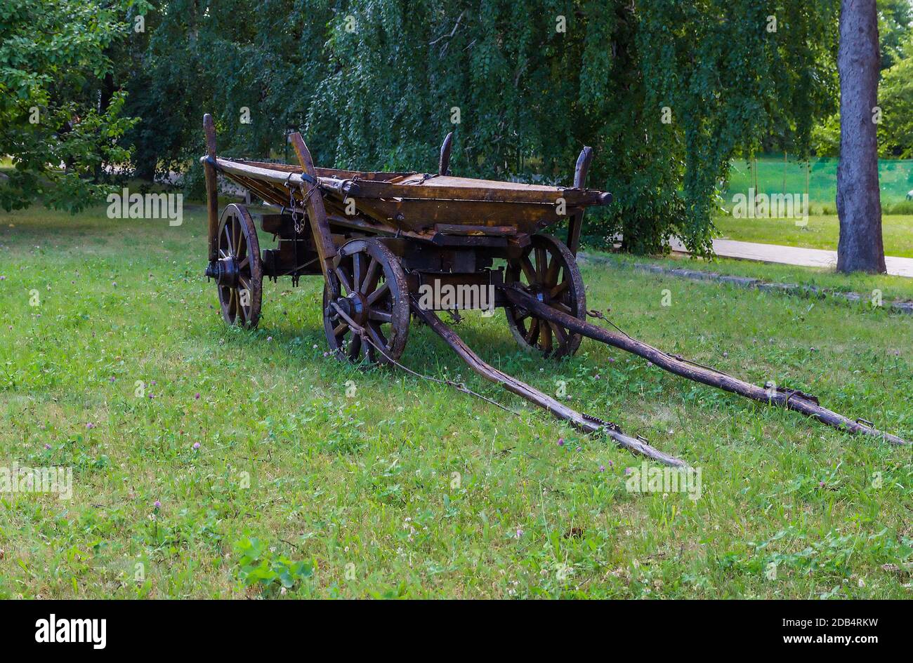 wooden horse Carriage in the meadow spring Stock Photo - Alamy