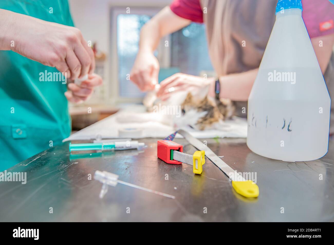 Venous blood collection hi-res stock photography and images - Alamy
