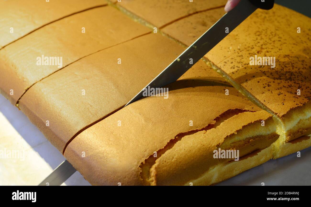 cutting the enormous large taiwanese traditional sponge cake Stock ...