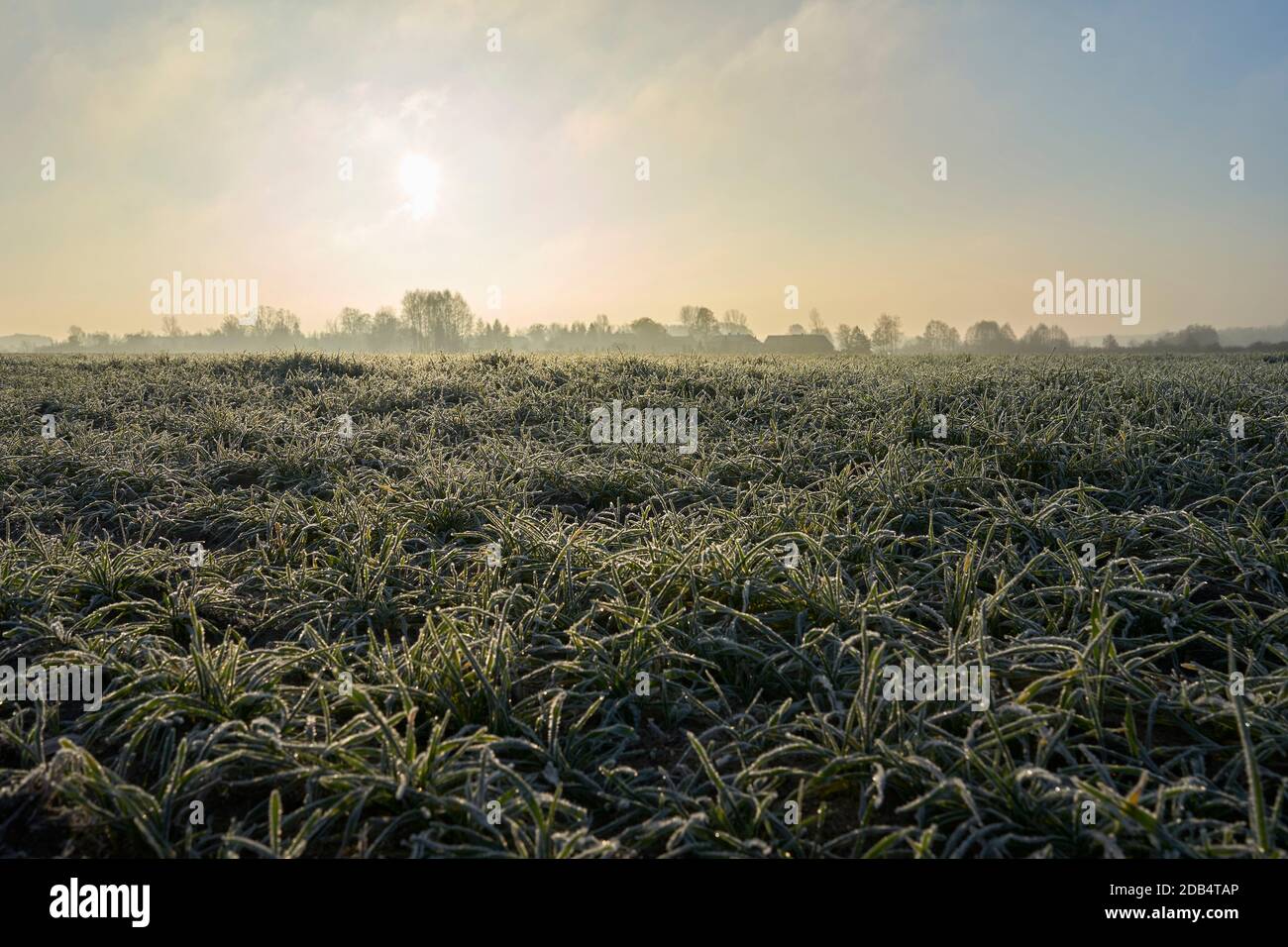 Frosty landscapes hi-res stock photography and images - Alamy
