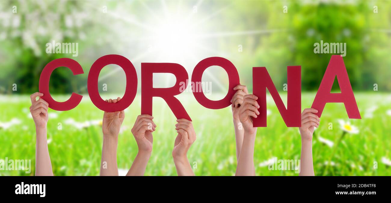 People Hands Holding Red English Word Corona. Sunny Green Grass Meadow ...