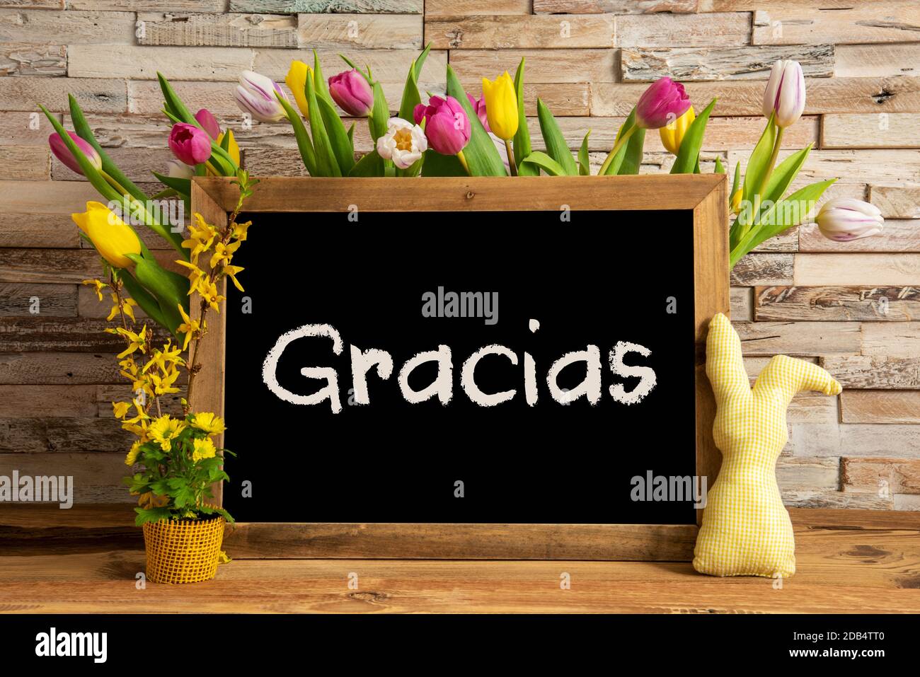 Blackboard With Spanish Text Gracias Means Thank You. Colorful Tulip ...
