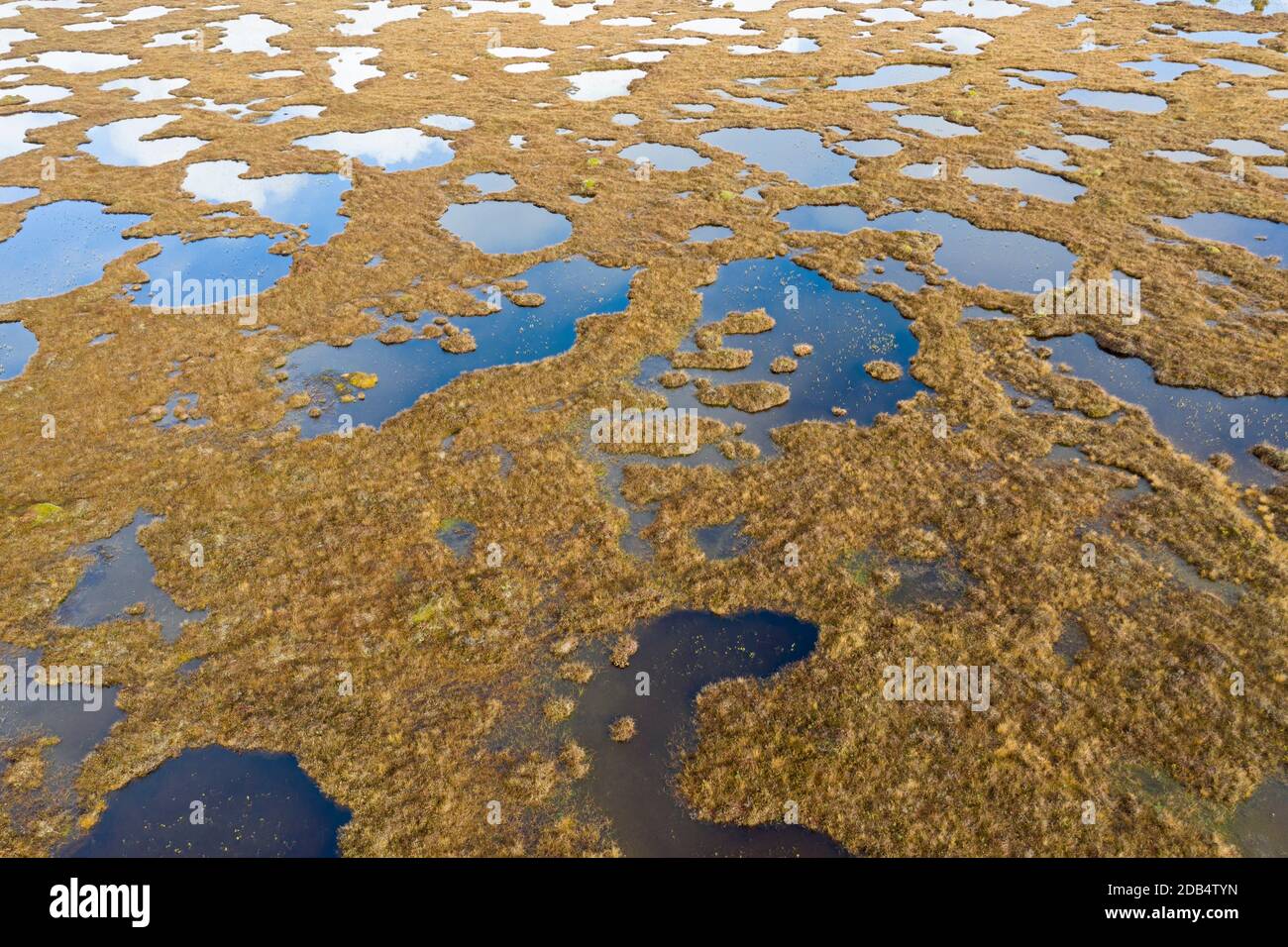 Peatland pools in blanket bog at Forsinard RSPB Reserve, Flow Country ...