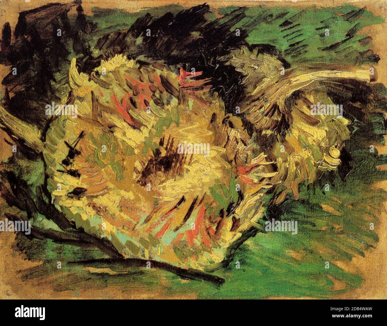 Van gogh two sunflowers hi-res stock photography and images - Alamy
