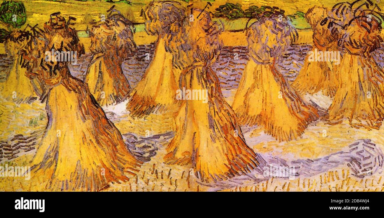 Field with Stacks of Wheat Stock Photo - Alamy