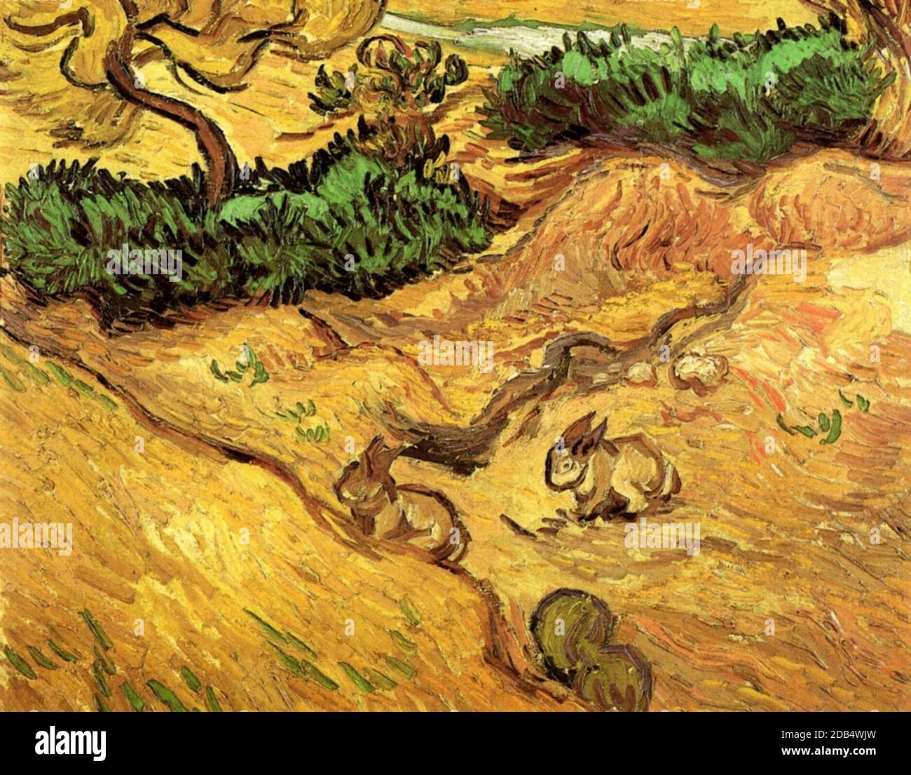 Field with Two Rabbits Stock Photo - Alamy