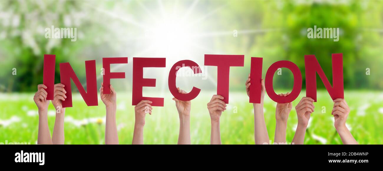 People Hands Holding Red English Word Infection. Sunny Green Grass ...