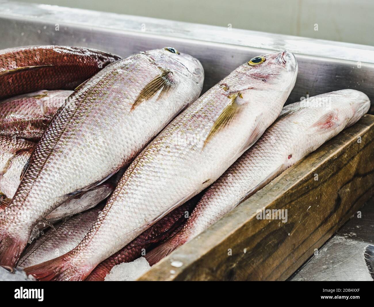 Fresh fish at the fish market. Close-up Stock Photo - Alamy