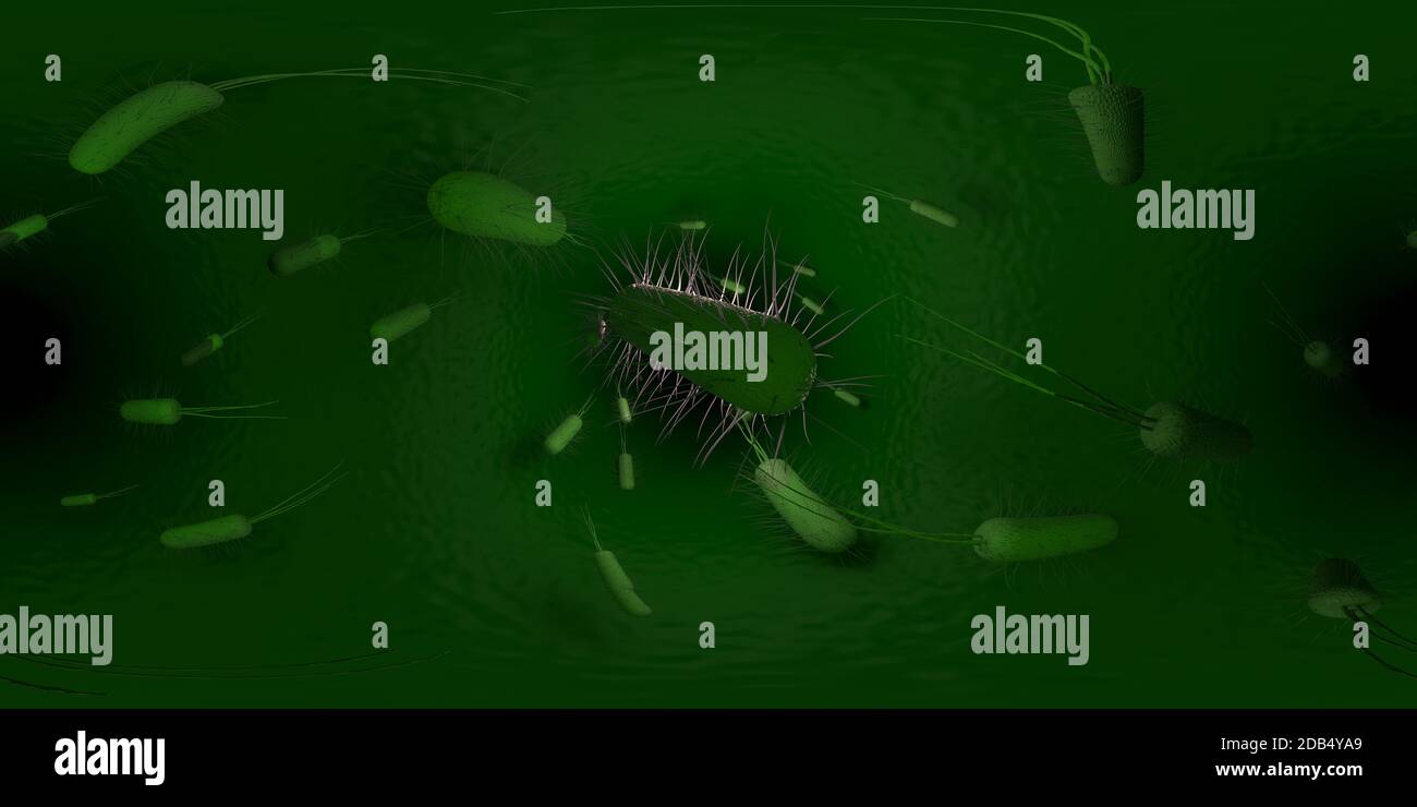 3d rendering Microscope virus- bacteria close up. Equirectangular 360 ...