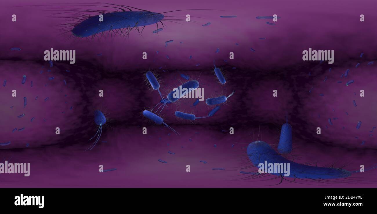 3d rendering Microscope virus bacteria close up. Equirectangular 360 VR ...
