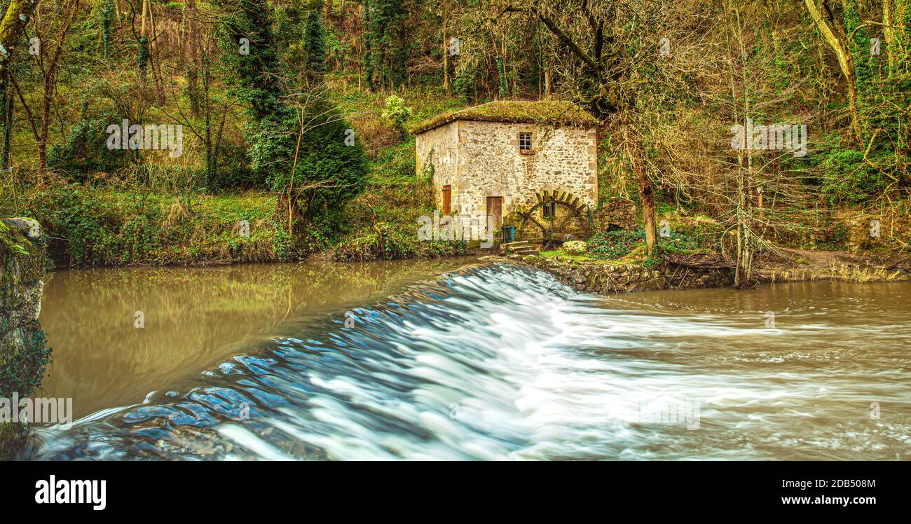 Old watermill house in the forest at the river nature landscape Stock ...