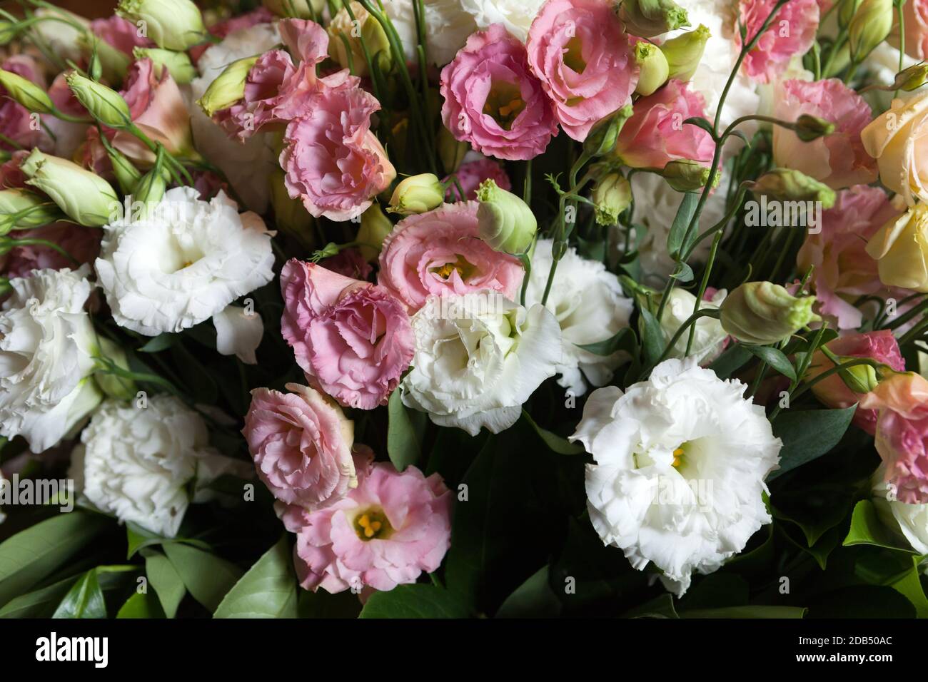The splendid , large bunch of roses Stock Photo - Alamy