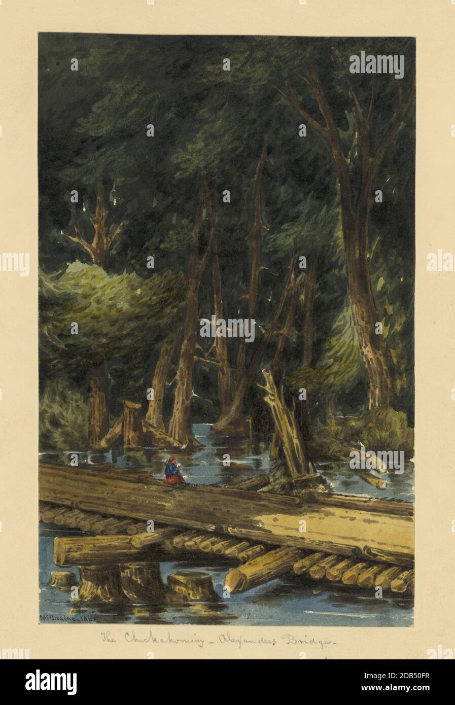 Scene of a log bridge across a swampy area of the Chickahominy River ...