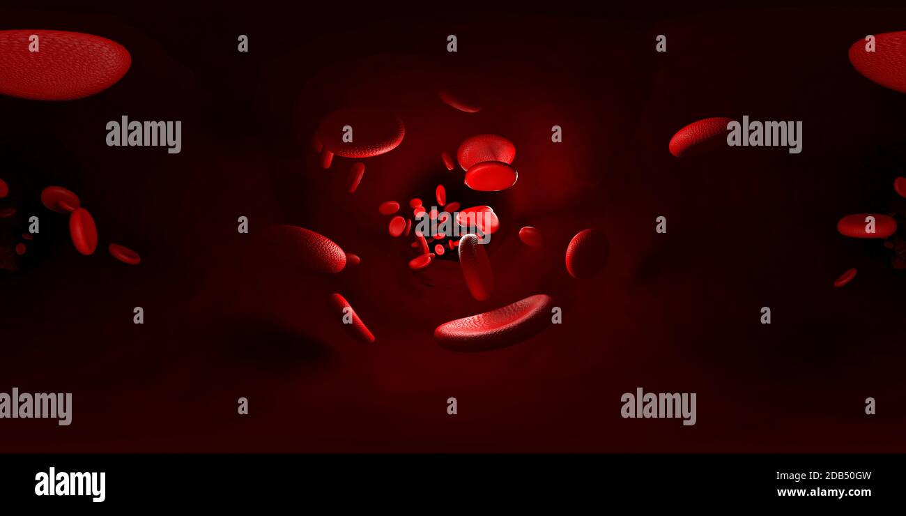 3d rendering of erythrocyte or red blood corpuscle. Equirectangular 360 ...