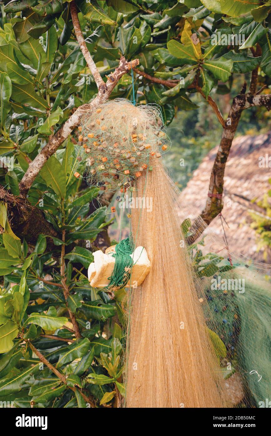 fishing net For Catching Small Fish hanged on tree, Masoala madagascar ...