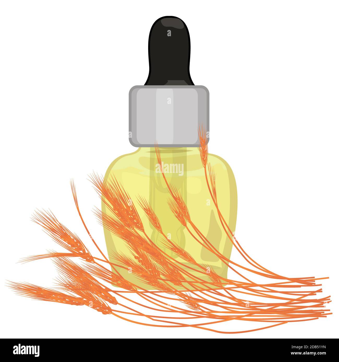 Wheat grain oil. Essential oils for health care Stock Photo - Alamy