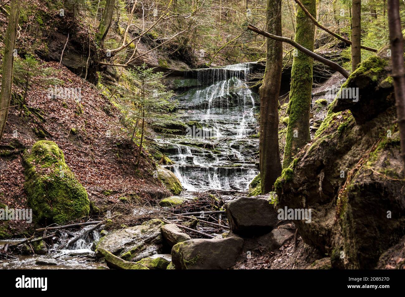 Little waterfall down the canyon in the middle of the green forest ...