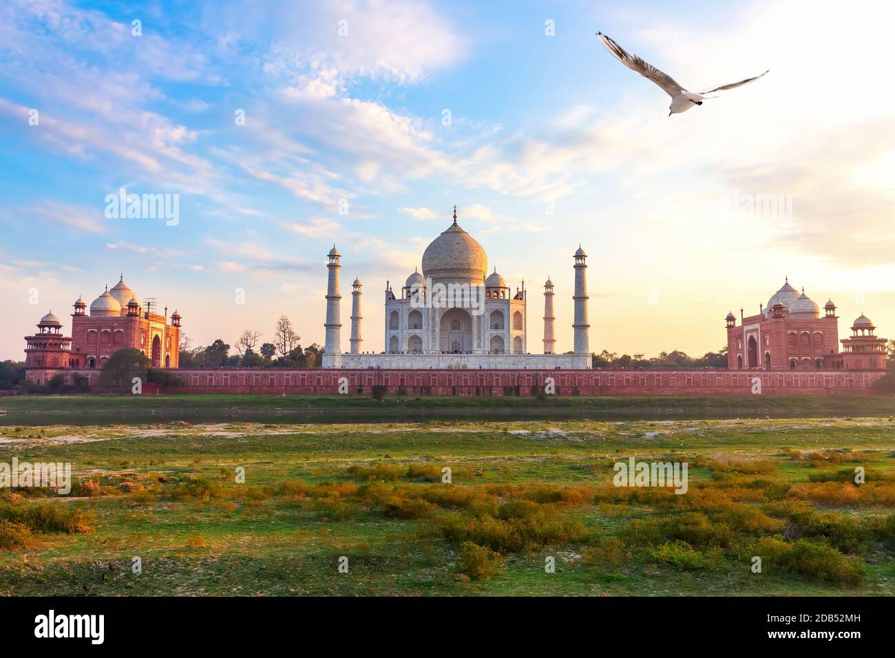 Taj Mahal, view from the Yamuna river, Agra, India Stock Photo - Alamy