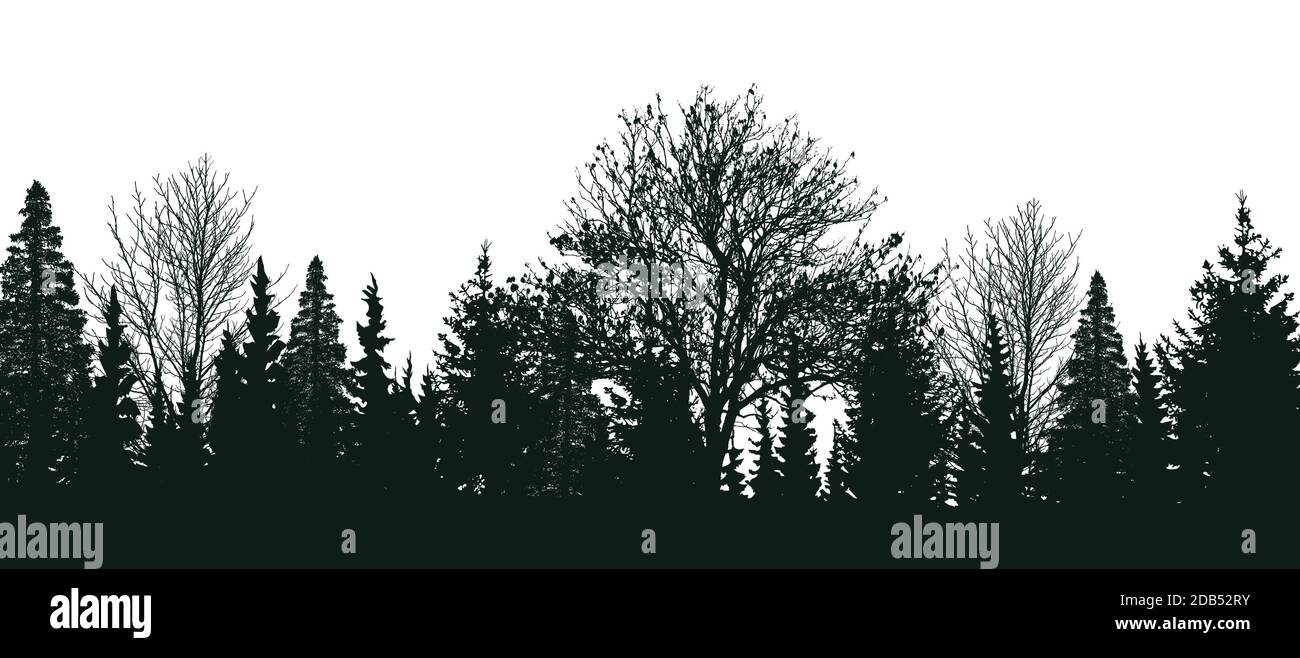 Isolated silhouettes of trees. Young forest. White background Stock ...