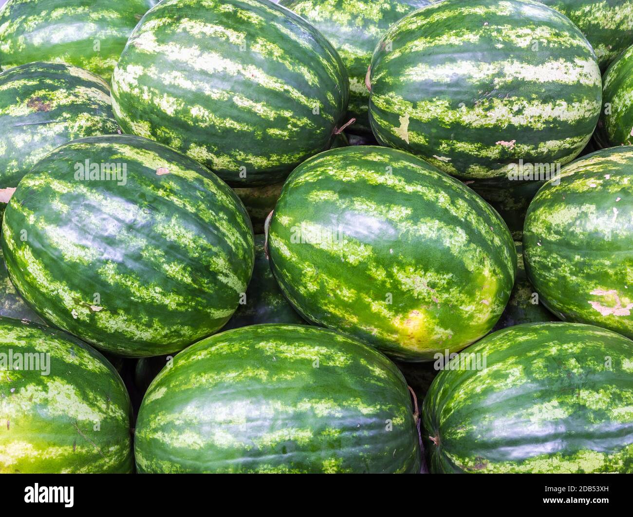 A top view of watermelons in a market Stock Photo - Alamy