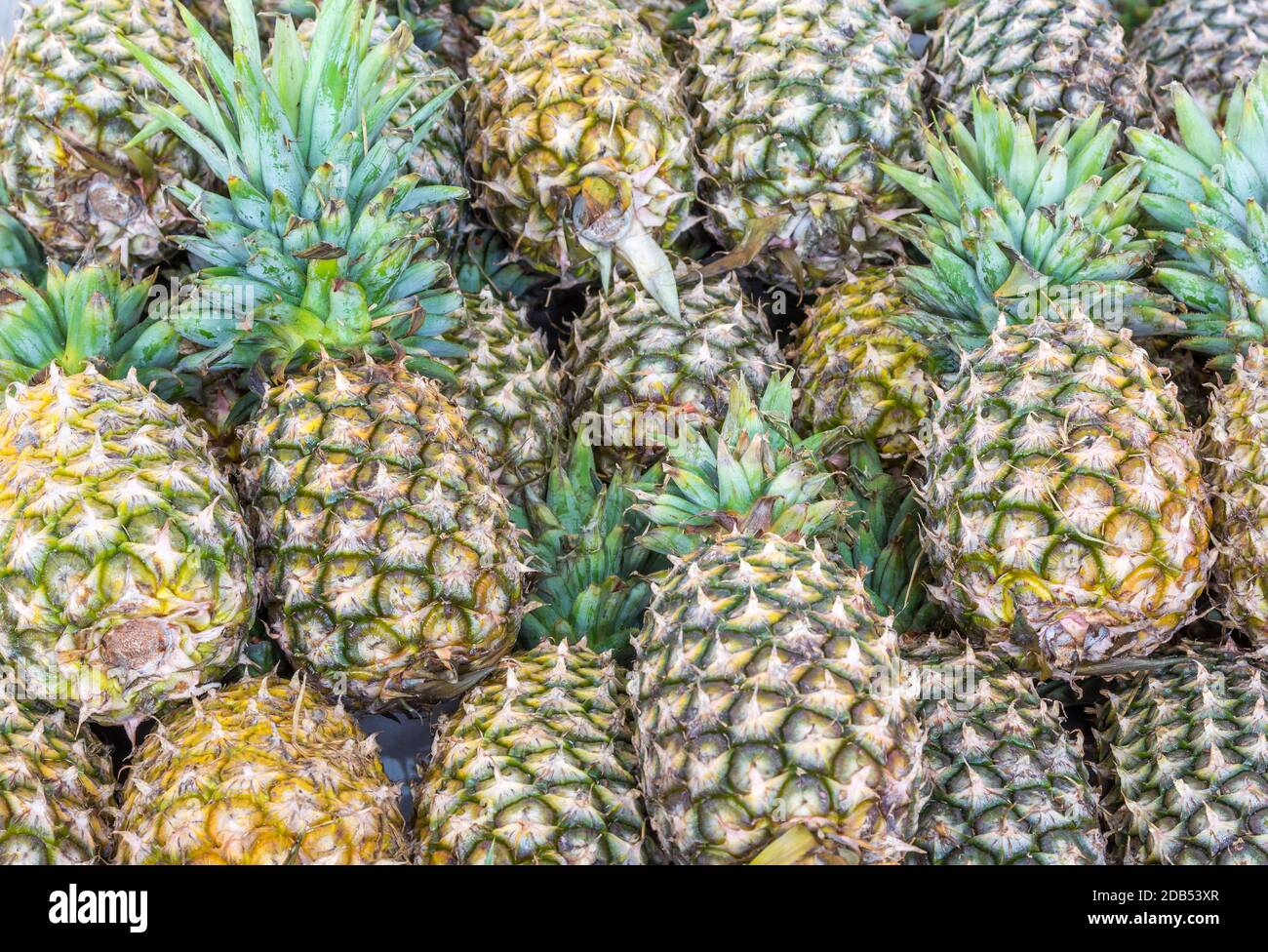 A top view of ripe pineapples in the market Stock Photo - Alamy