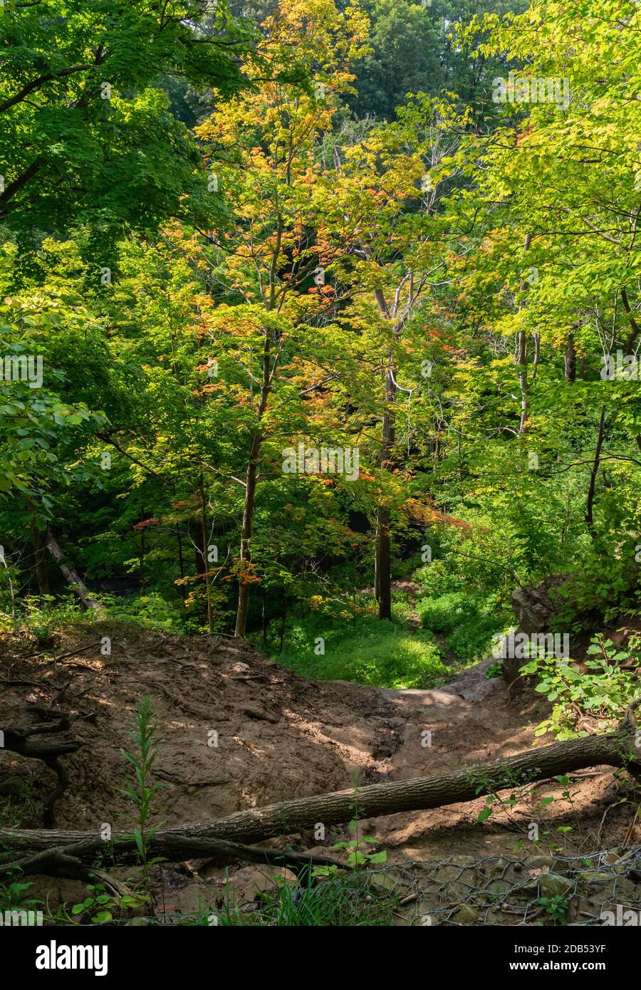 Lower Decew Conservation Area Hiking Trail Stock Photo - Alamy