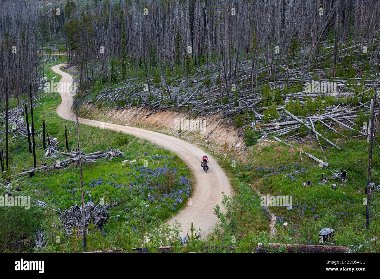 Bicycle road maps hi-res stock photography and images - Alamy