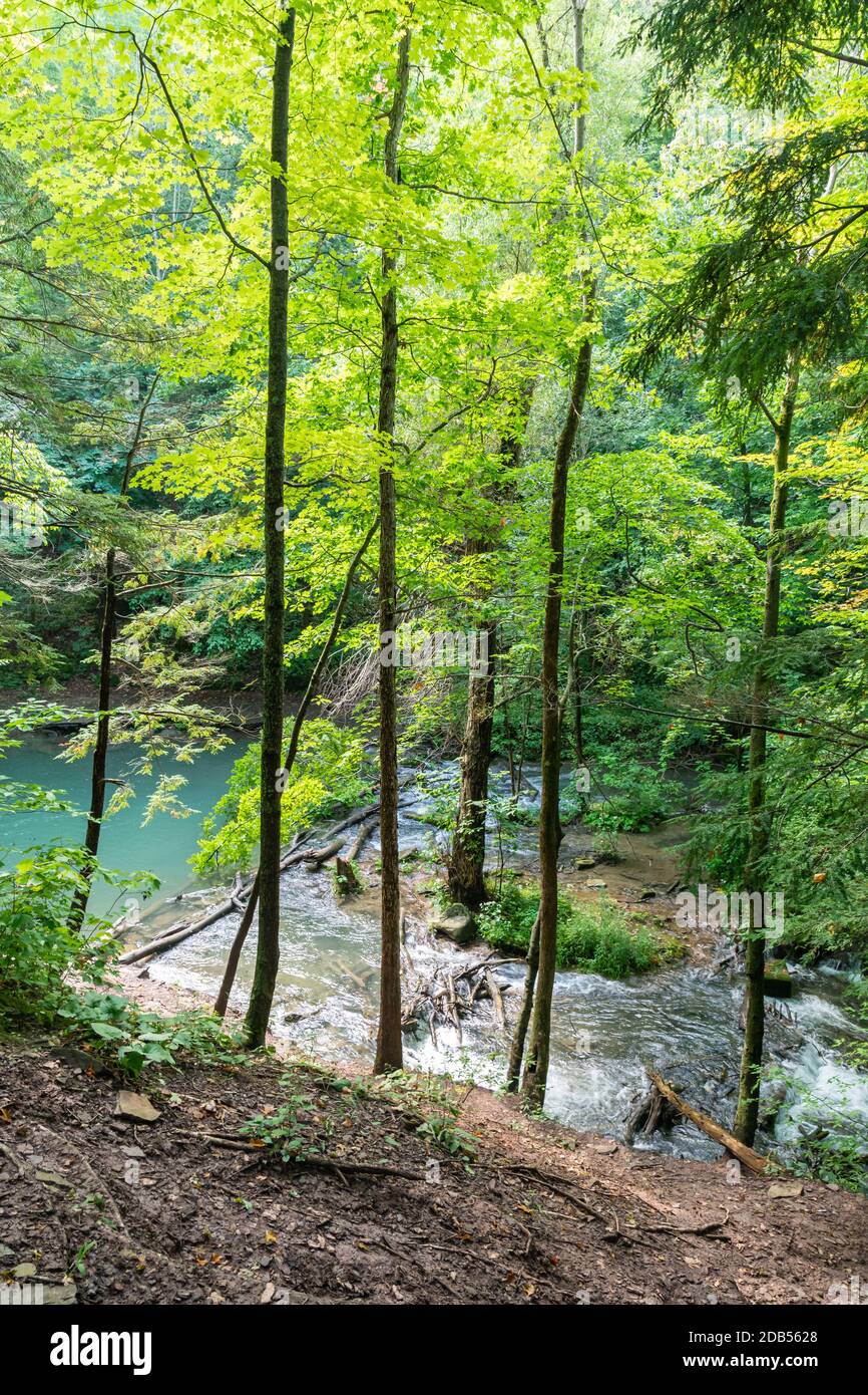 Lower Decew Conservation Area Ontario Canada Stock Photo - Alamy