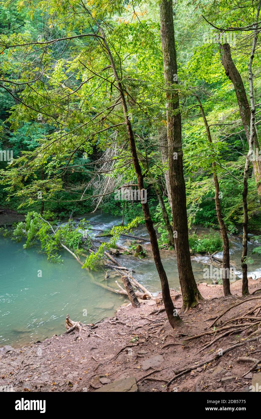 Lower Decew Conservation Area Ontario Canada Stock Photo - Alamy