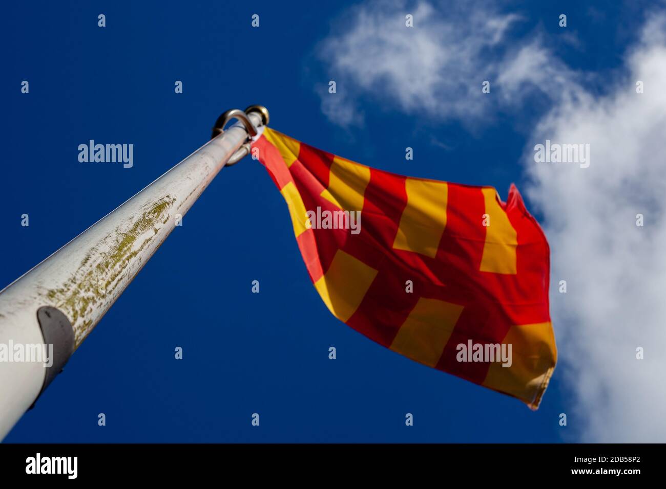 the Northumbrian flag Stock Photo - Alamy