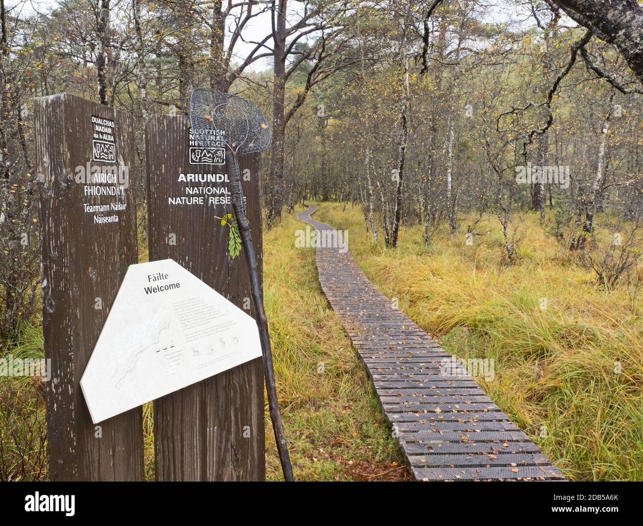 Start of Ariundle Oakwood National Nature Reserve, Birch and Sessile ...
