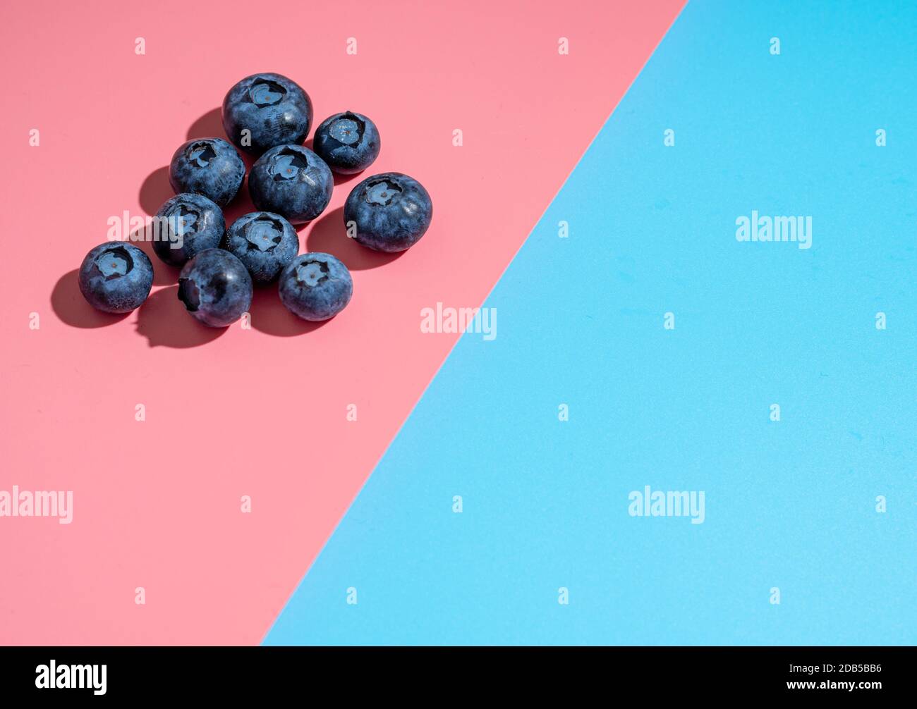 Blueberry on duotone background. Minimalistic concept. Blueberries on ...
