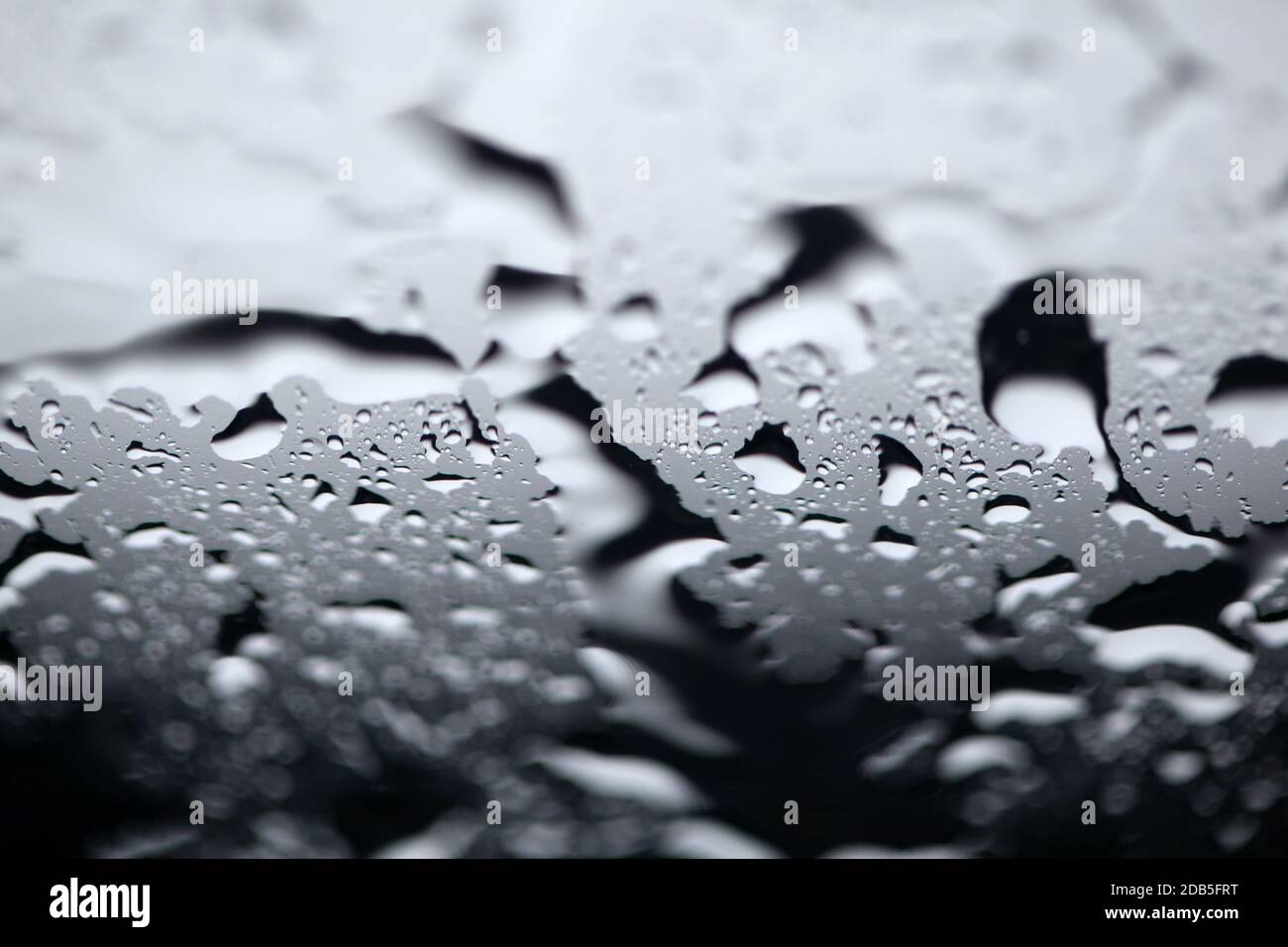 Rain drops on windows glass. Close-up of water droplets on glass, Rain ...