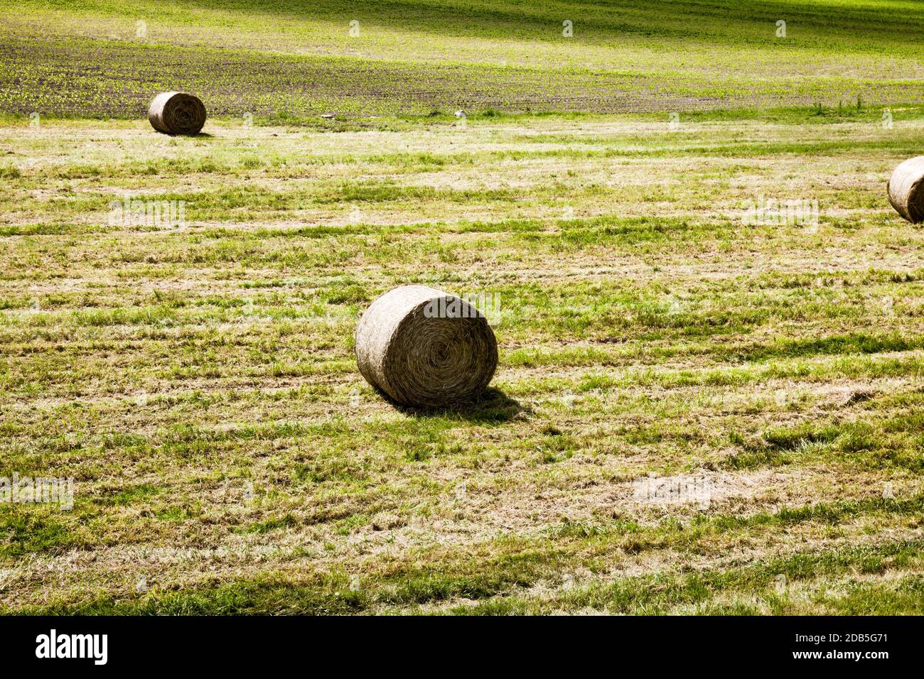 haystack made from dry grass, used to feed animals on the farm Stock ...