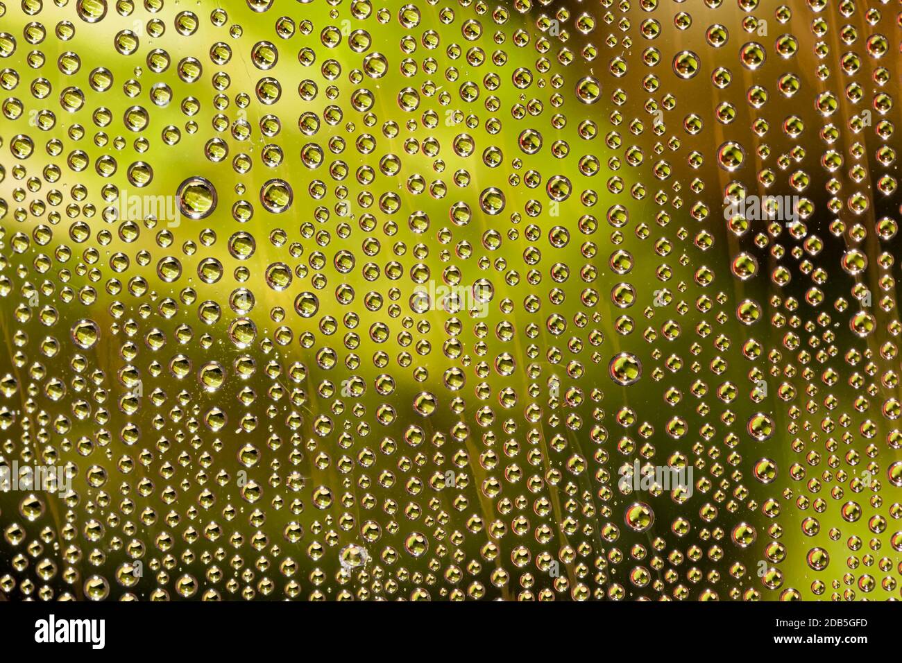 droplets of water and condensate formed due to evaporation on the ...