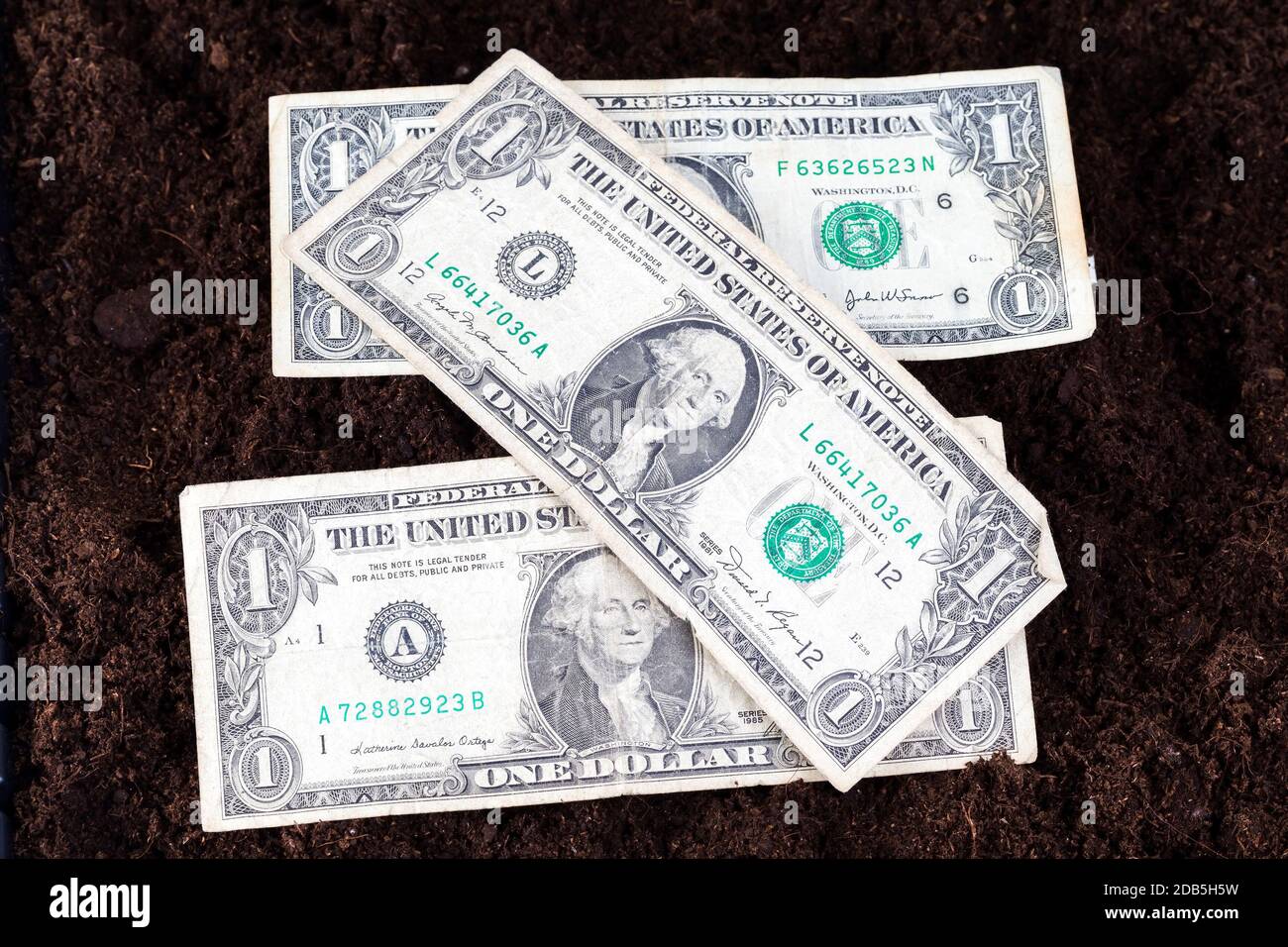 cash American dollars banknotes on the black fertile soil of an ...