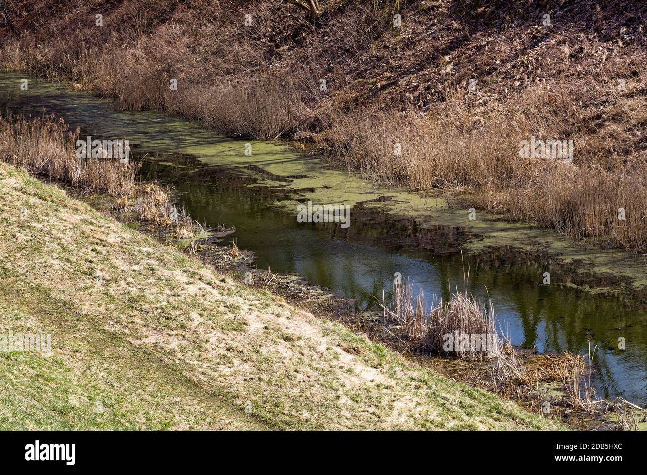 small and narrow creek with a fast flow of water, part of the creek and ...