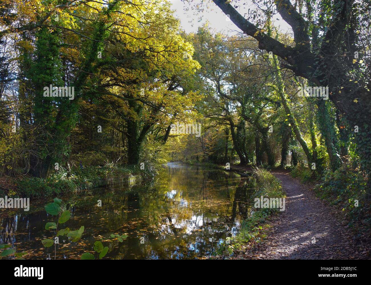 North hampshire england hi-res stock photography and images - Alamy