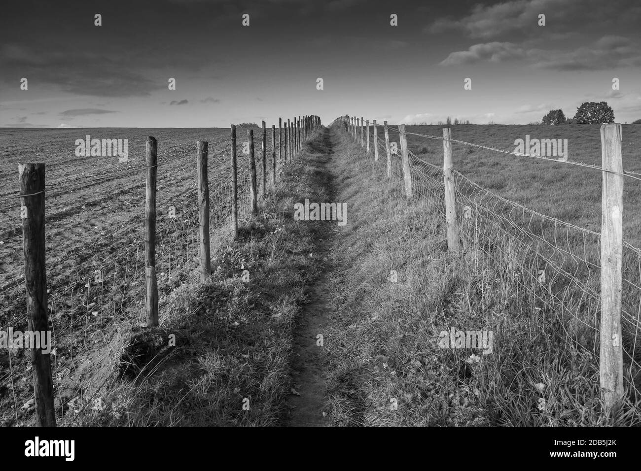 Fenced off pathway across field Stock Photo - Alamy