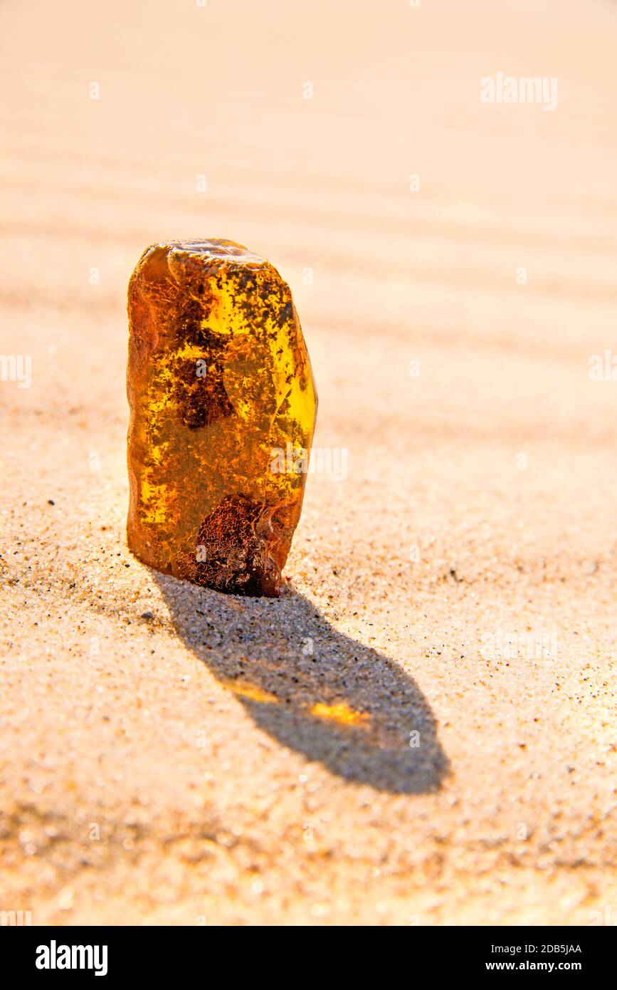 Amber in sun on a beach of the Baltic sea Stock Photo - Alamy