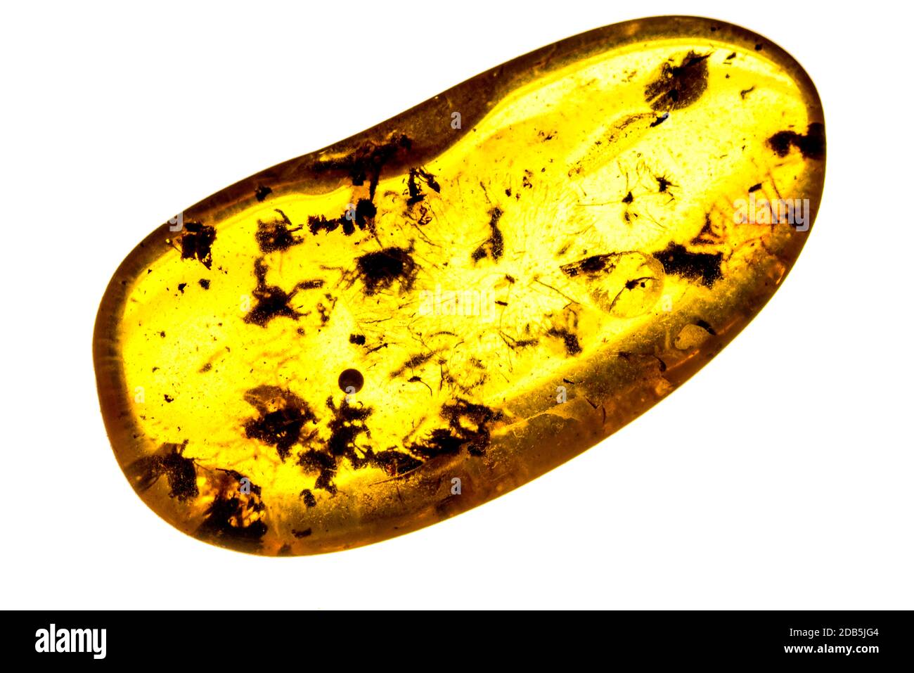amber with inclusions Stock Photo - Alamy